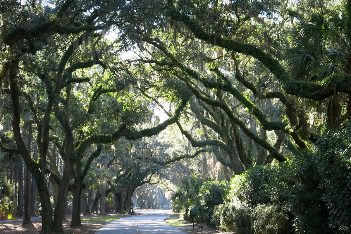 Sea Pines Resort Guide - Coastal Vacation Rentals